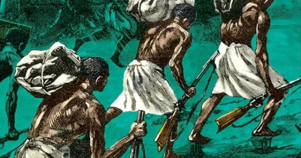 Buy Qalb e Zulmat By Joseph Conrad Online | Books of Joseph Conrad ...