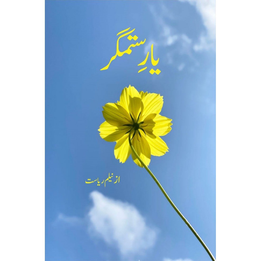 Yar e Sitamgar By Neelam Riyasat | Novels of Nelam Riasat