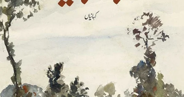 Buy Jazu Bhaya By Samina Nazir Online | Books of Samina Nazir ...