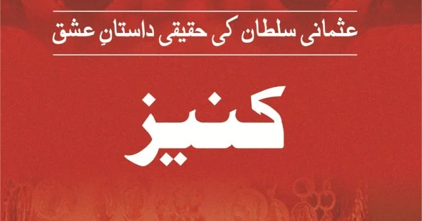 Buy Kaneez By Gul Irepoglu Online | Online Book Store | Novels of Gul ...