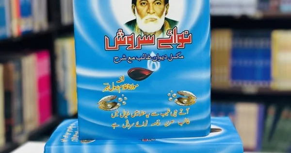 Buy Nawa e Sarosh By Ghulam Rasool Mehr | Dewan e Galib Sharah By ...