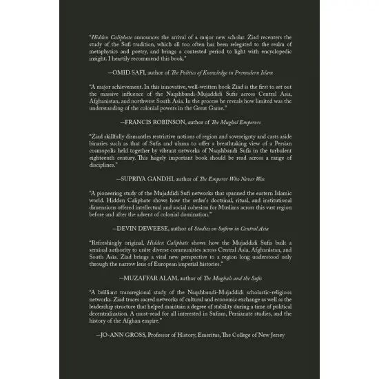 Buy Hidden Caliphate: Sufi Saints Beyond The Oxus And Indus By Waleed ...