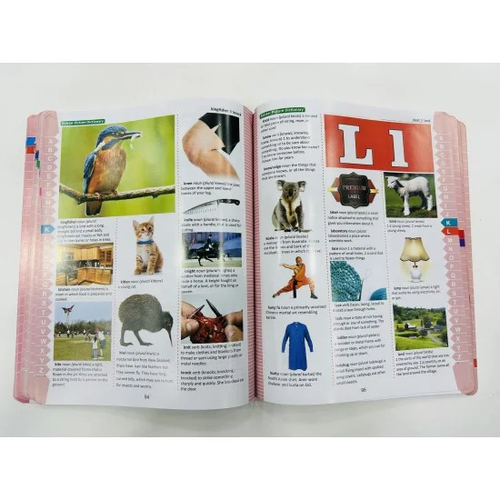 Buy Children's Dictionary With Colour Pictures & Illustrations Online ...