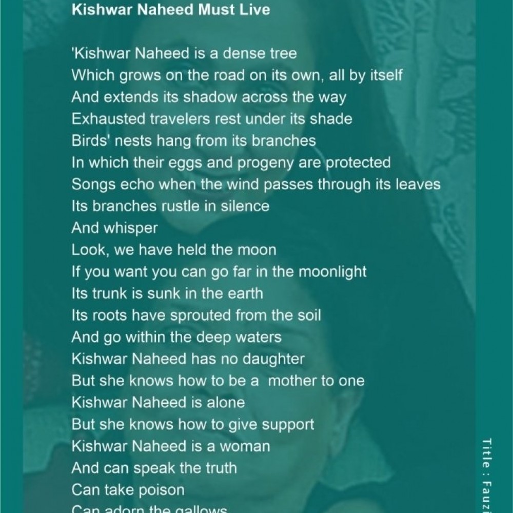 Salt in Wounds Poems of Kishwar Naheed | Books of Kishwar Nahed
