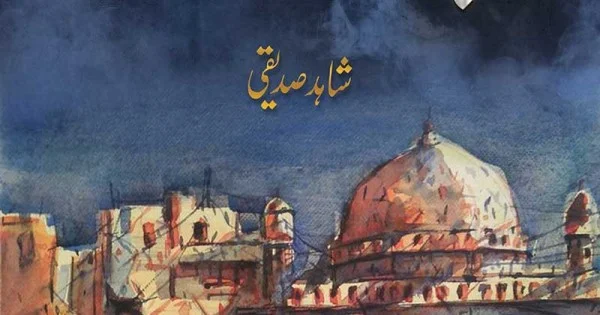 Buy Pothohar Khita e Dil Ruba By Shahid Siddiqui Online| Book of Shahid ...