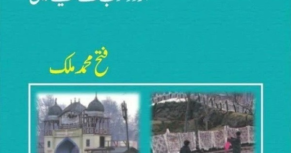 Tehreek e Azadi Kashmir Urdu Adab Kay Aeiny Main By Fateh Muhammad ...