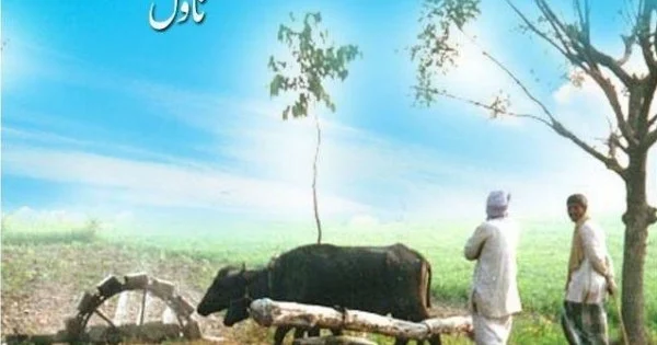 Mao Meowal By Abdal Bela | Books of Abdaal Bela