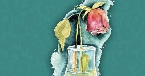 Me Sozam By Humaira Ashfaq | Mee Sozam