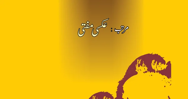 Maha Okha Mufti By Aksi Mufti | Books About Mumtaz Mufti